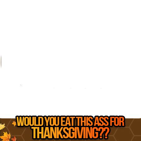 Bangbros Free Porn Videos