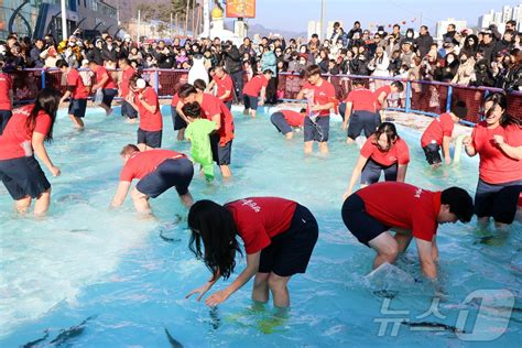 제16회 평창송어축제 1월3일~2월2일 오대천서 개최 뉴스1