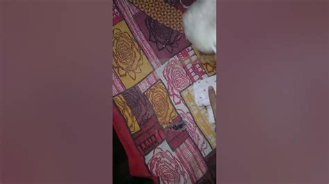 Cute Pegion Status Youtube