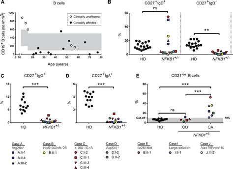 Loss Of Function Nuclear Factor κb Subunit 1 Nfkb1 Variants Are The