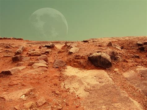 Nasa Takes Pictures Of Martian Mushrooms Boomsbeat