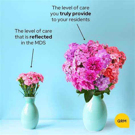 Qrm Quality Rehab Management On Linkedin Qrm Mds Skillednursing