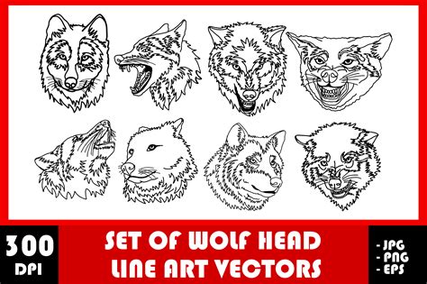 Angry Wolf Vector Png