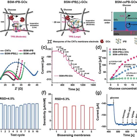 A Schematic Diagram For Cascade Sensing Process For Different