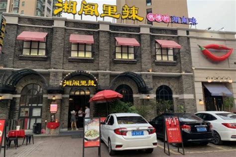 新闻中心 就业新闻