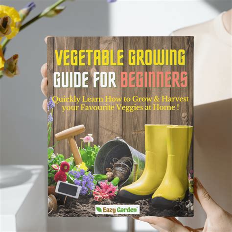 Vegetable Growing Guide For Beginners Eazy Garden