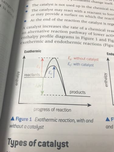 Chapter Reaction Rates And Equilibrium Flashcards Quizlet