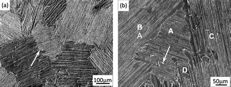 Microstructure Of The As Cast Tial Nb Alloy A Lamellar Colonies With Download Scientific