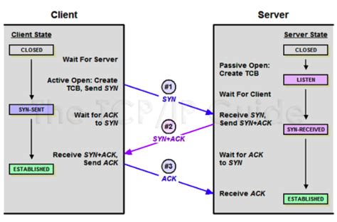 [Golang] httpclient connection pool관리하는법 p.s. 소켓과 TCP Handshake란?