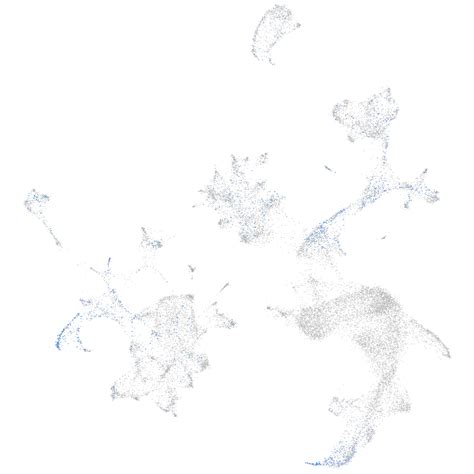 Pdcd2 Hematopoietic Vasculature Daniocell