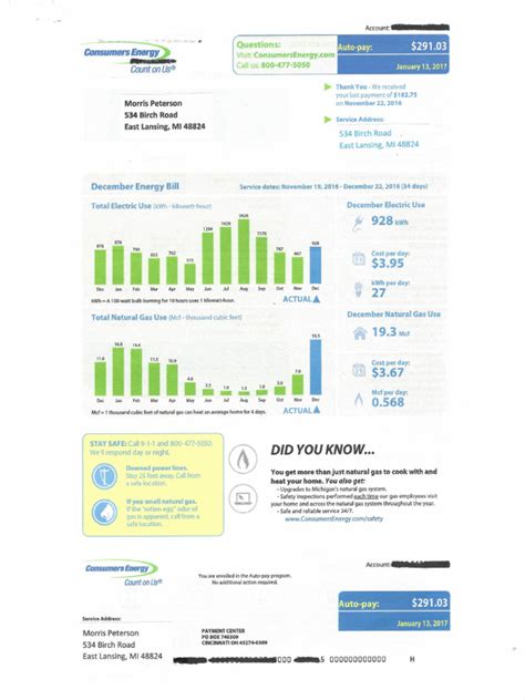 Peterson Consumers Energy Bill Pdf