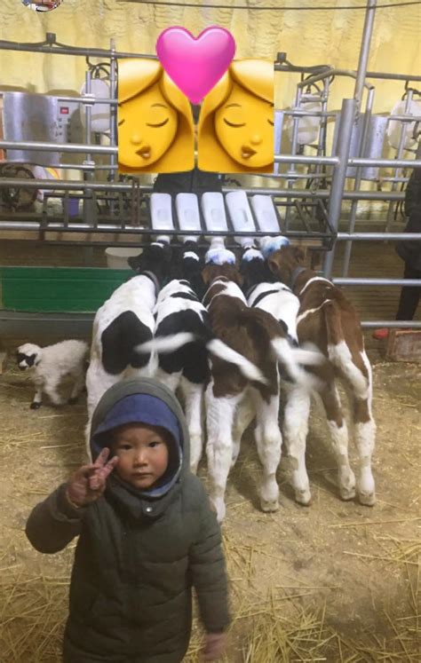 Mongolian ЕРТӨНЦИЙН ГУРВАН ХӨӨРХӨН🫰🏻 2021 оны хавар Хүү минь 2 ой гарантай болоод фэрмээ