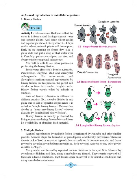 Maharashtra Board 10th Standard Science Part 2 Book PDF AglaSem