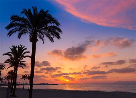Wieder Vergewaltigungen Auf Mallorca Deutsche Urlauberin 20 Am