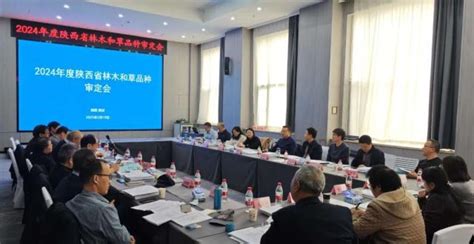 2024年度陕西省林木和草品种审定会议召开腾讯新闻