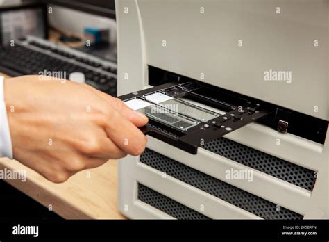 Scientist Scanning Microscope Slides With Tissue Samples For Pathology
