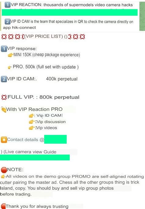 Vietnamese Group Hacks And Sells Bedroom Camera Footage Cybernoz