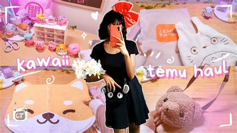 Huge Temu Haul ♡ Cute And Aesthetic Items Youtube