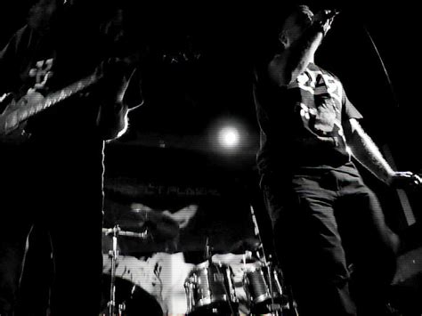 Videoclips Insect Plasma Official Homepage