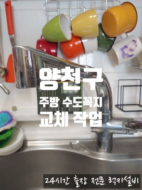 양천구 수전 교체 목동 싱크대 수도꼭지에서 뜨거운 물이 찬물과 섞여 나오고 물 새서 싱크대 수전 교체 작업 세면대 수전