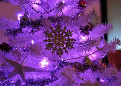 Trött Efter En Massa Spring På Stan