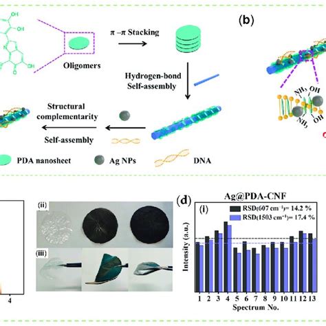 Design And Characteristics Of Sers Sensor Related To Pda Mip A