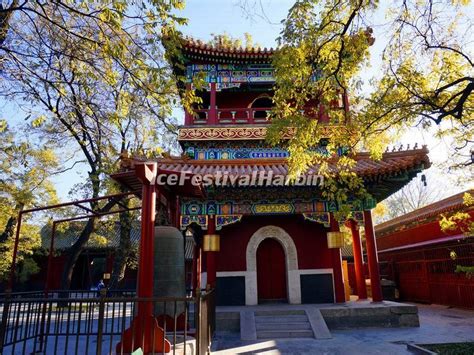 Beijing Yonghe Lamasery Lama Temple Photos Beijing China