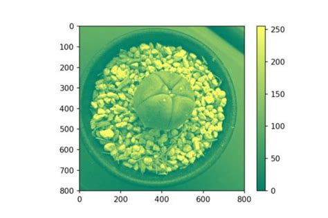 matplotlib 24 画像の表示保存画像処理について サボテンパイソン
