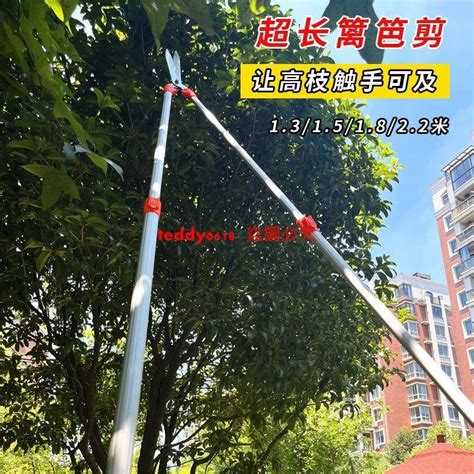 加長伸縮園藝剪刀園林花剪修枝剪果樹剪草坪剪綠化大剪刀綠籬剪 蝦皮購物