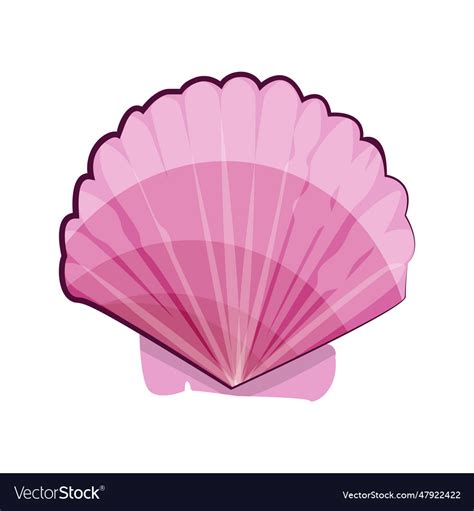 Pale Pink Sea Shell Royalty Free Vector Image VectorStock