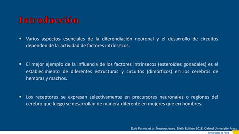 SOLUTION 9 El Desarrollo De Las Redes Neuronales Factores Intr Nsecos