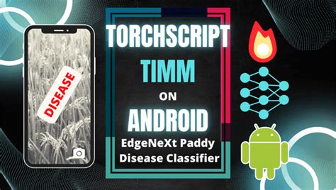 Pytorch At The Edge Deploying Over 964 Timm Models On Android With Torchscript And Flutter R