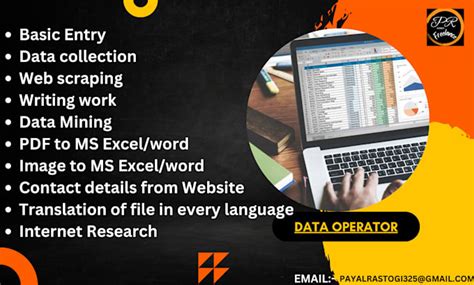 Do Microsoft Excel Expert Data Operator Internet Research By
