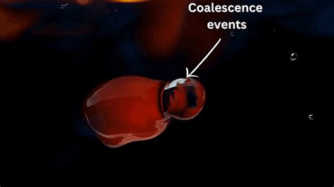 How Co2 Gets Into The Ocean Fyfd