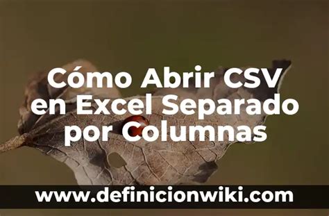 Cómo Abrir Csv En Excel Separado Por Columnas