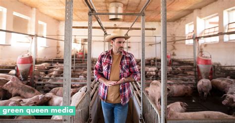 63 Of Farming Practices With Usda Climate Smart Funding Dont Cut Emissions