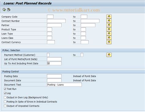 FNM1 SAP Tcode Automatic Posting