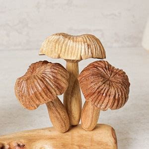 Wooden Mushrooms Art Hand Carved Statue Parasite Wood Shelf Decor Wood Carving Figurine