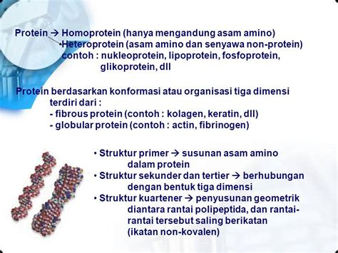 Protein Oleh Dr Ir Ani Suryani Dea Ppt Download