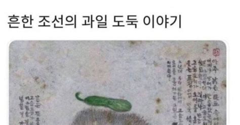 조선시대 과일도둑 고슴도치