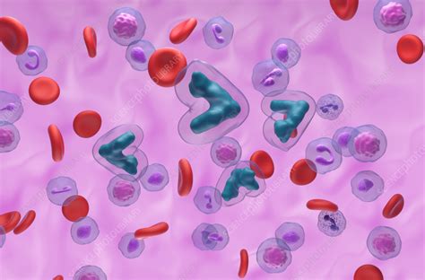 Methotrexate Molecules Illustration Stock Image F0406707