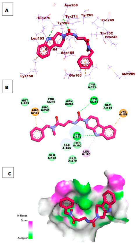 In Silico Screening Of Semi Synthesized Compounds As Potential