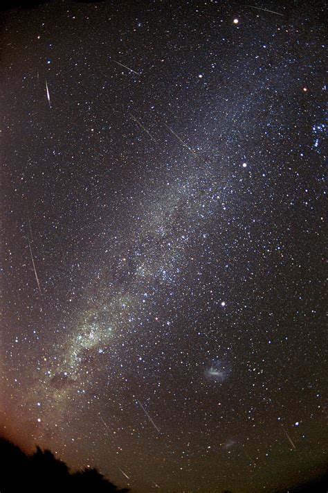 Leonid Meteors Photograph By Dr Fred Espenak Fine Art America