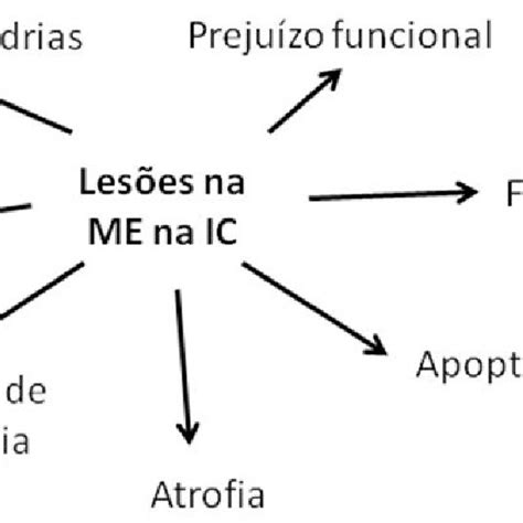 The Structure And Nomenclature Of Cholesterol Ring Identification