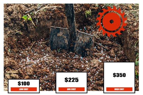 Deep Root Fertilization Everything You Need To Know Hayward