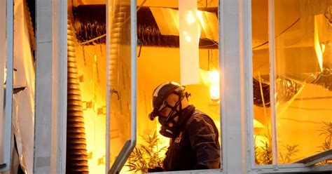 Gloucester Cannabis Factory Update Men Charged After Discovery Of More