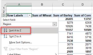 Pivot Table Sorting Guide New For Excel Google Sheets Automate Excel