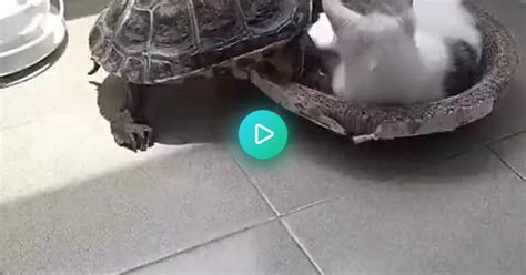 Thats My Spot Album On Imgur