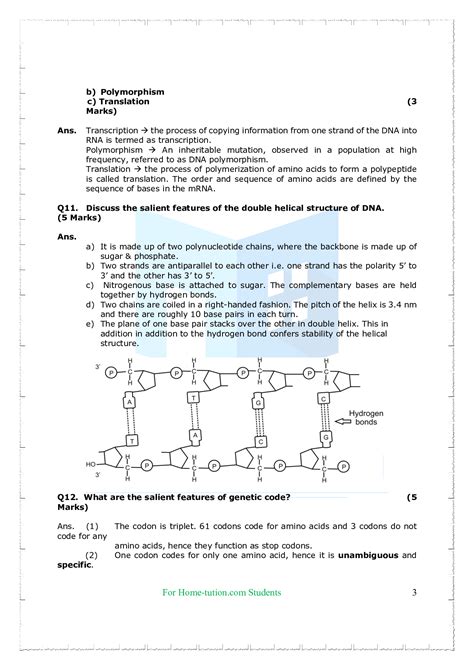 Important Questions For Class 12 Biology Chapter 6 Molecular Basis Of