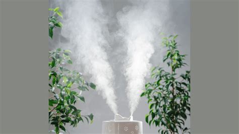 Vaping Safety Tips Preventing Accidents And Ensuring A Safer